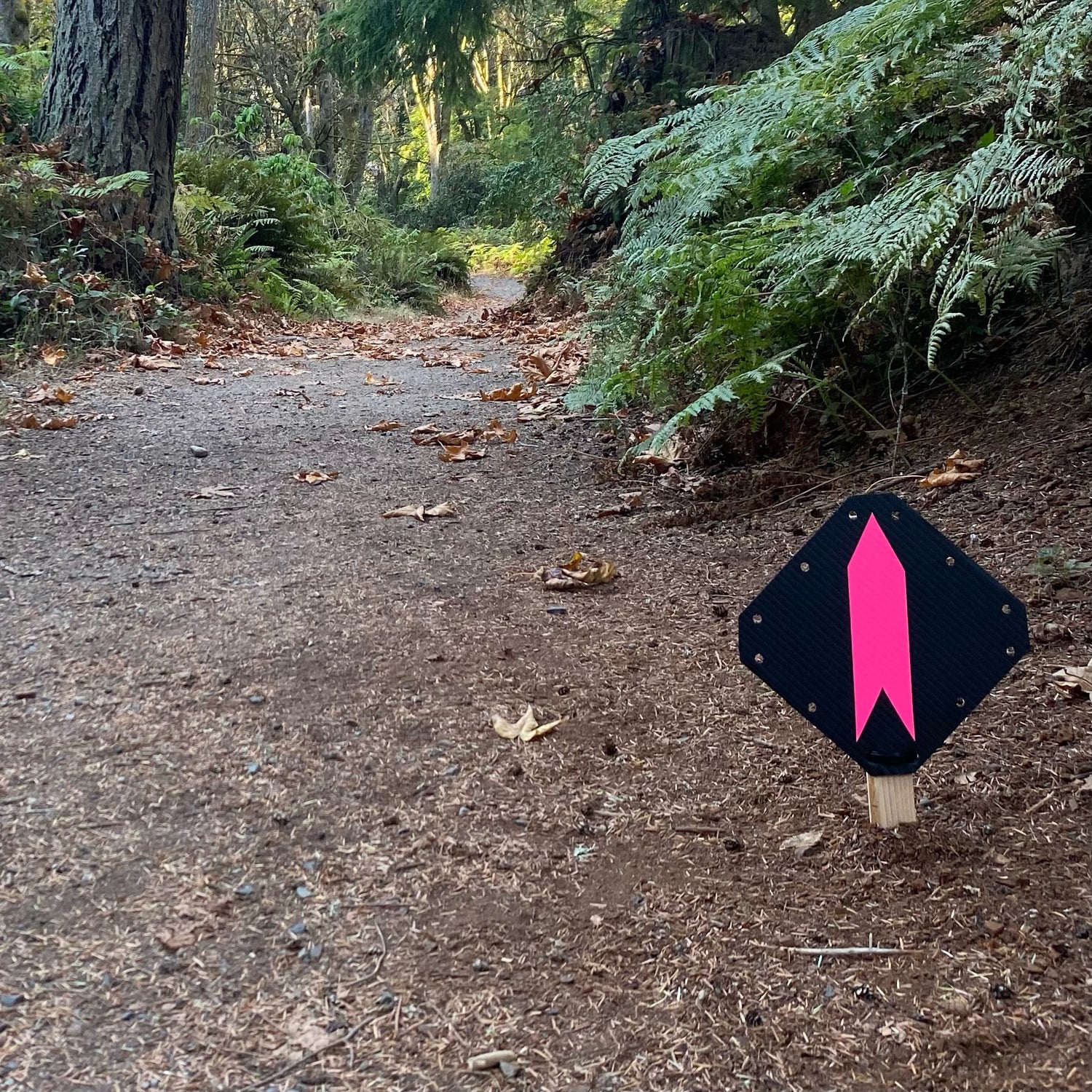 RouteArrows: Easily Give Clear & Colorful Directions – RouteArrows.com