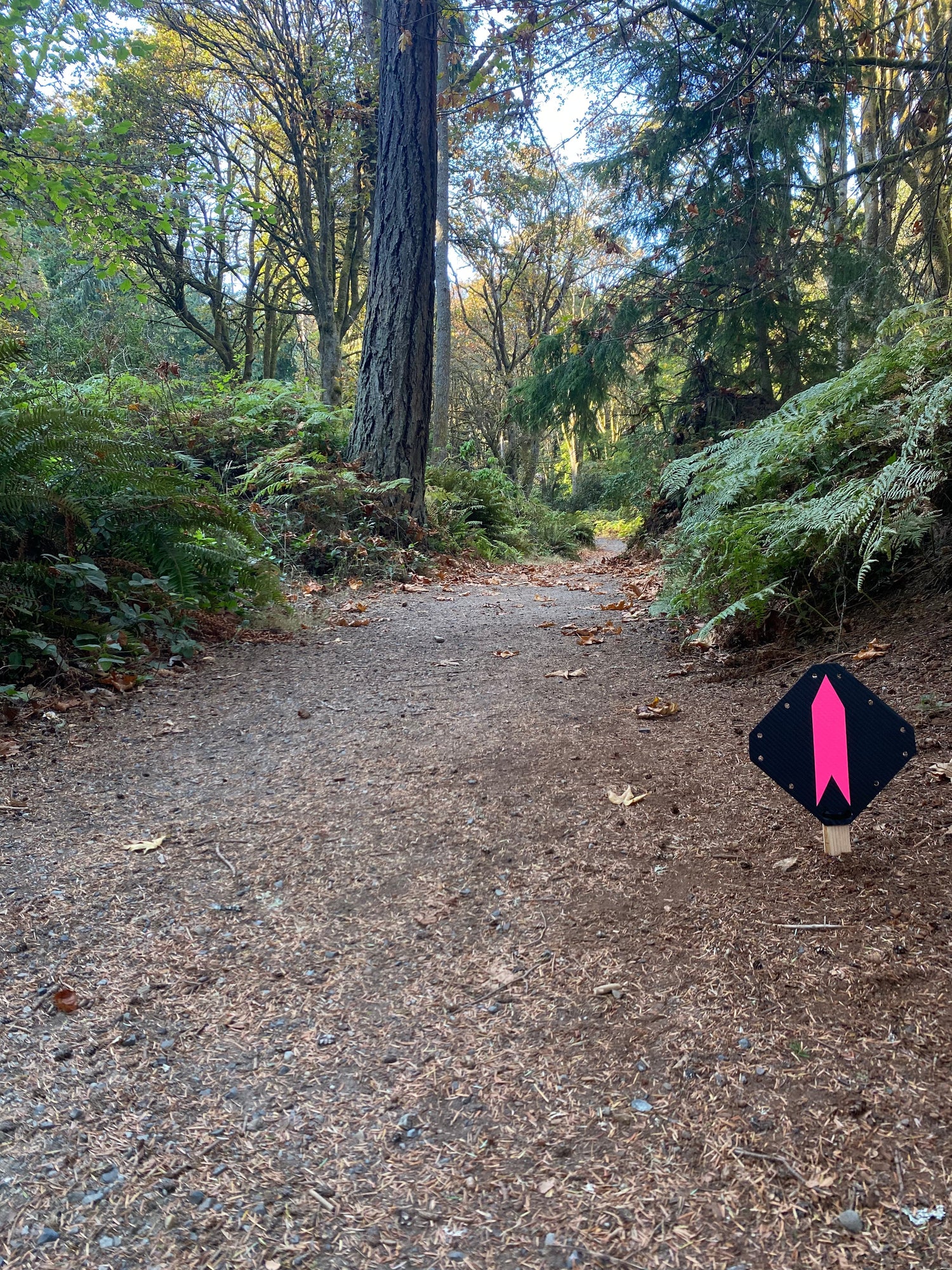 RouteSigns: 30+ Reusable Sign Options for Day & Night Events ...