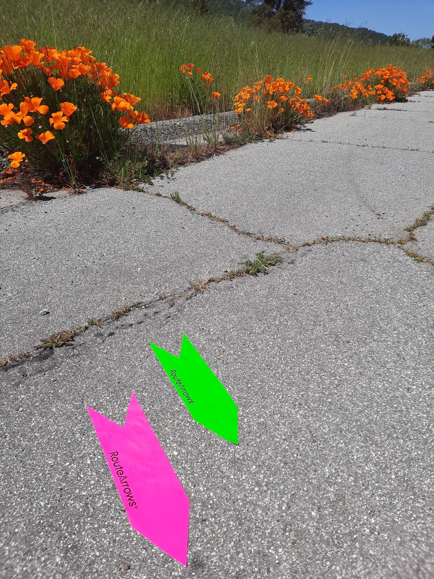 RouteArrows: Rolls of Peel-n-Stick Directional Arrows, 10 Hi-Viz Color ...